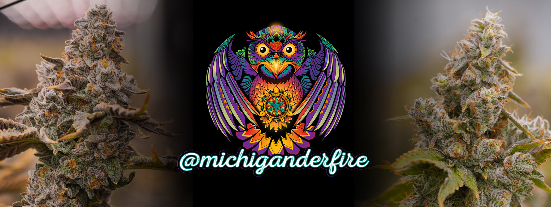 Michigander Fire - Shop Apparel